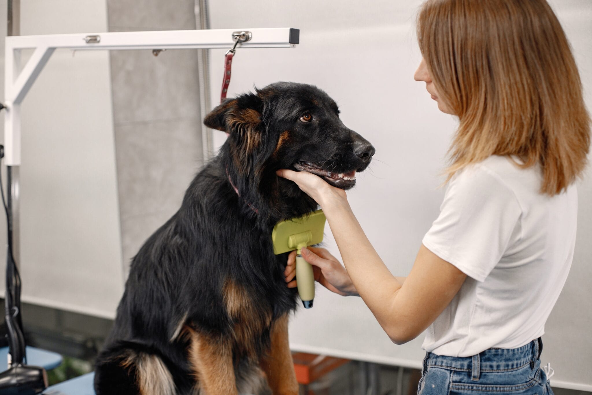 Hug and Trim Mobile Grooming | Premium In-Home Pet Grooming in CA & GA